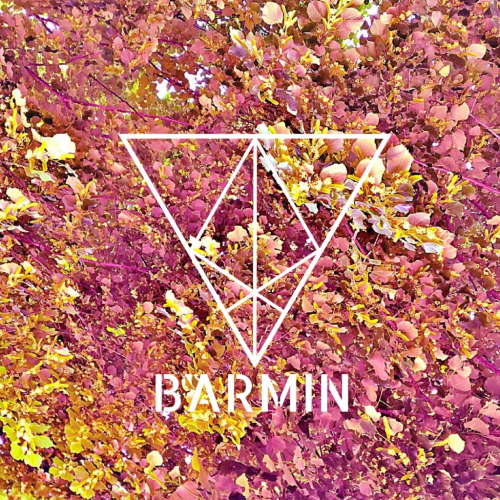 Barmin: "Release" recensione