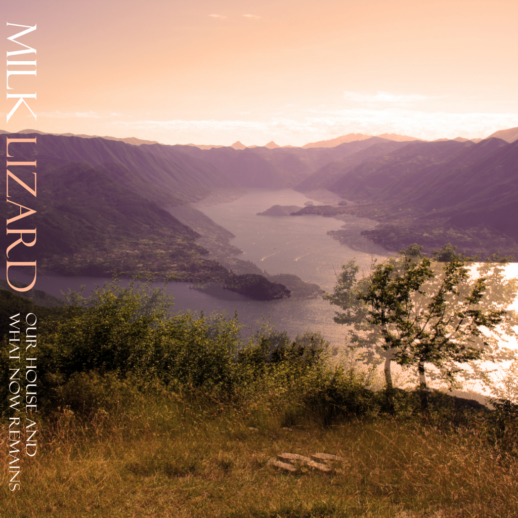 Our House And What Now Remains - Milk Lizard