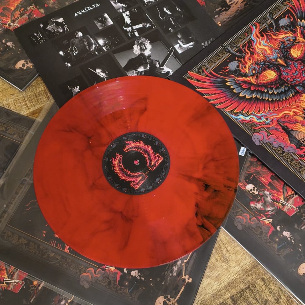 VINILE FENICE - Avvolte