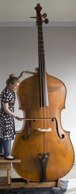 L ottobasso Uno Degli Strumenti Musicali Pi Rari Del Mondo
